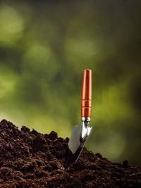 Gallery | Rigoni Tree Solutions